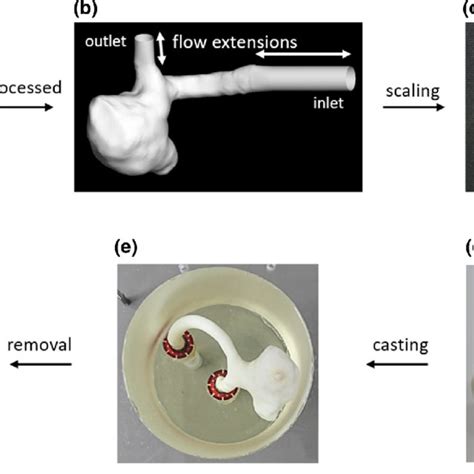 A Positions Of Characteristic 2D Cross Sections Used For A Detailed Download Scientific