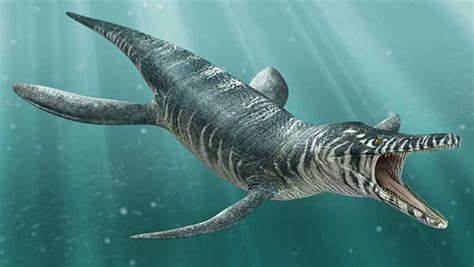 Top 10 Deadliest Dinosaurs That Ever Lived Mydinosaurs