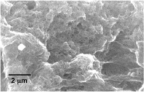 Scanning Electron Micrograph Of A Dna Mwcnt Film The Sample Was 91 Download Scientific