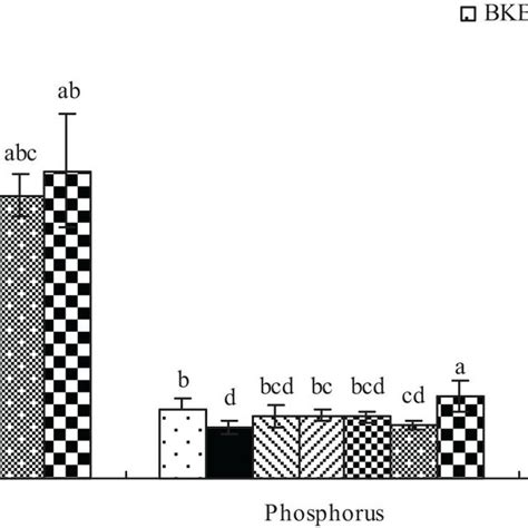 Effect Of Biochar Based Fertilizer On Maize Yield Note Different Download Scientific Diagram