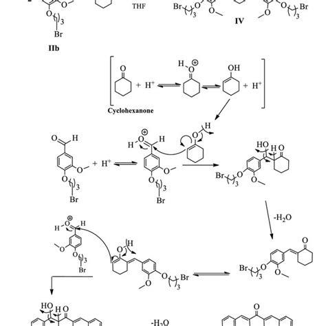 Base Catalyzed Knoevenagel Condensation Reaction Synthesis Of Compound Download Scientific
