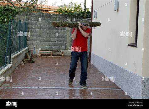 Man Carrying Tree Trunk Stock Photo Alamy