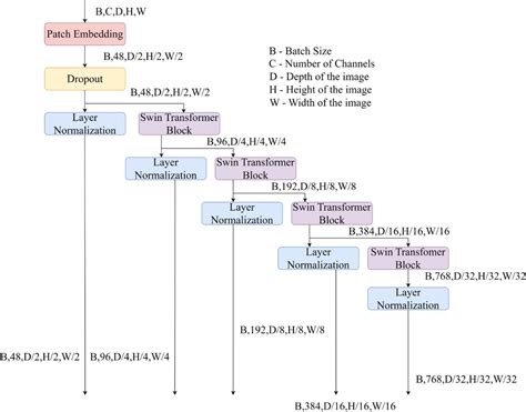3d Swin Res Segnet A Hybrid Transformer And Cnn Model For Brain Tumor Segmentation Using Mri
