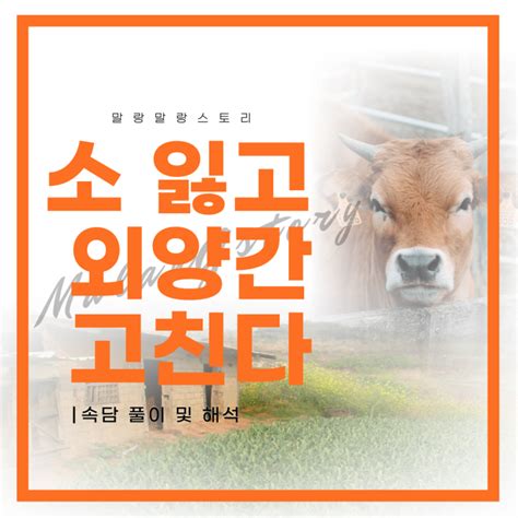 소 잃고 외양간 고친다 뜻과 유래를 알아보자 네이버 블로그