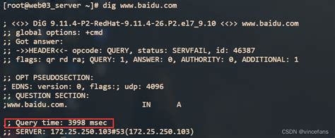 搭建dns服务器dns服务器搭建 Csdn博客