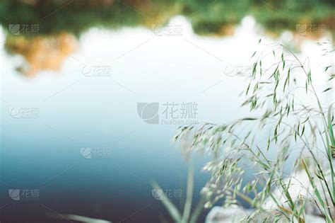 绿草在河的背景上