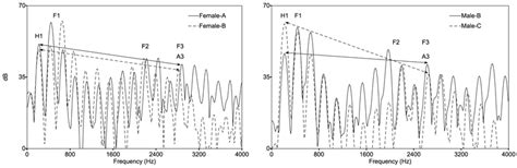 Spectral Slices 50 Msec In Length Starting From 1 S Of 220 Hz Vowel