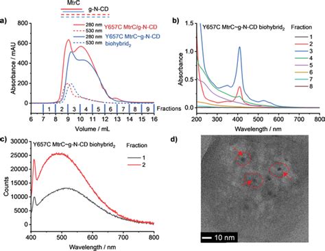 A Elution Profile On A Superdex 200 Increase 10 300 Gl Sec Column Of