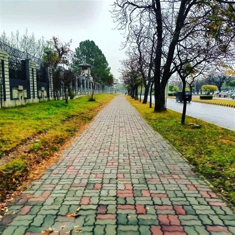 Muhammad Waqas Raja On Linkedin Weather Rain