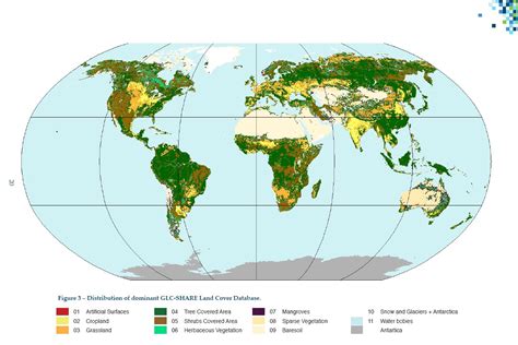 Global Land Use Patterns At Natalie Murray Blog