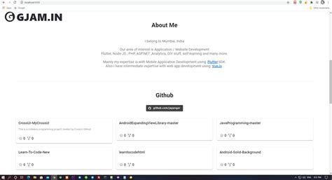 GitHub Japangor Portfolio