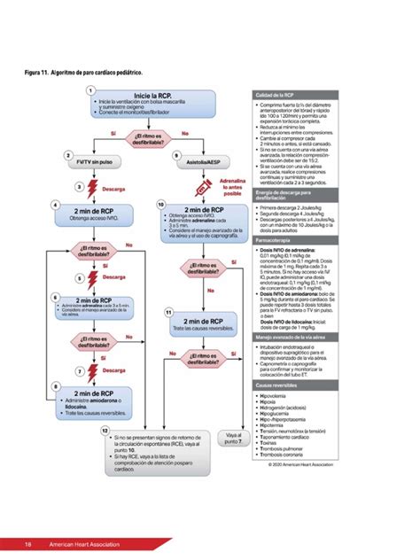 Algoritmo Rcp Pediatrico Pdf