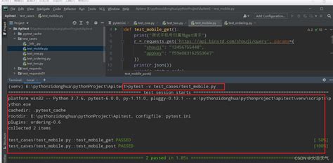 Pytest基础用法05： M K Q S V运行参数详解及ini配置指定运行参数pytest M Csdn博客