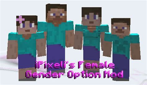 Gender Mod For Minecraft 1 18 1 1 17 1 1 16 5 And 1 12 2