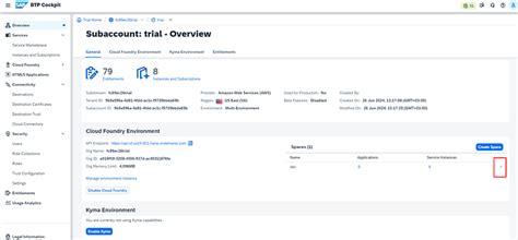 how to create a sap hana database instance in sap btp by İlker tekin