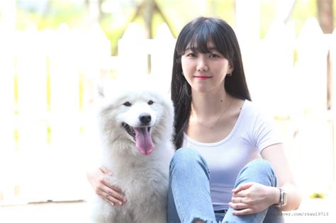 하남미사 강아지 사진관 반려견과 함께하는 라이트하우스스튜디오 네이버 블로그