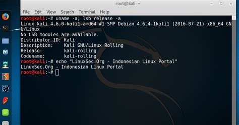 Langkah Langkah Instalasi Kali Linux Terbaru LinuxSec