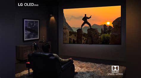 Lg Oled Evo Qned Mini Led