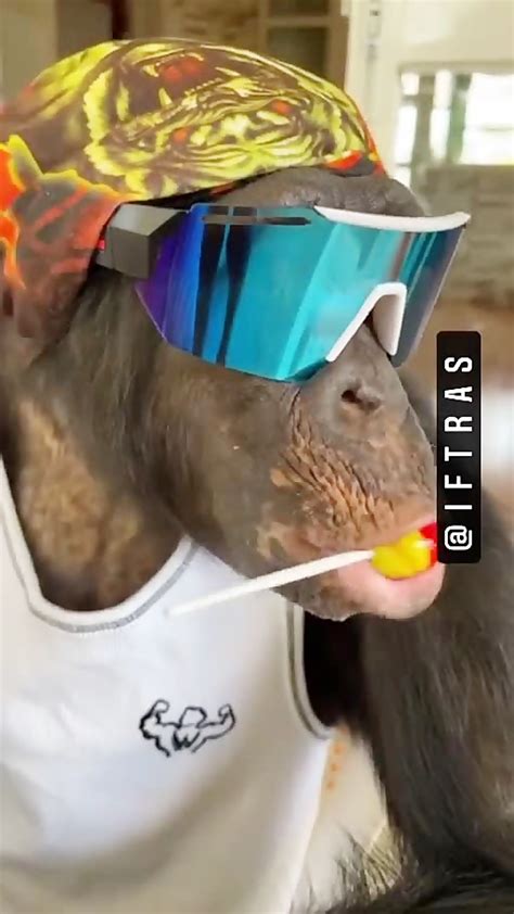 کیلیپ خنده دار