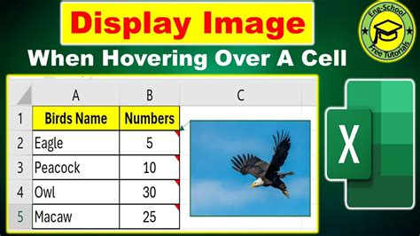 excel tips display image when hovering over a cell show image when hovering over a cell in