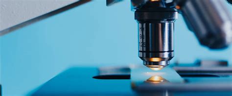 Microscopy Applications Life Science Biomedical Imaging