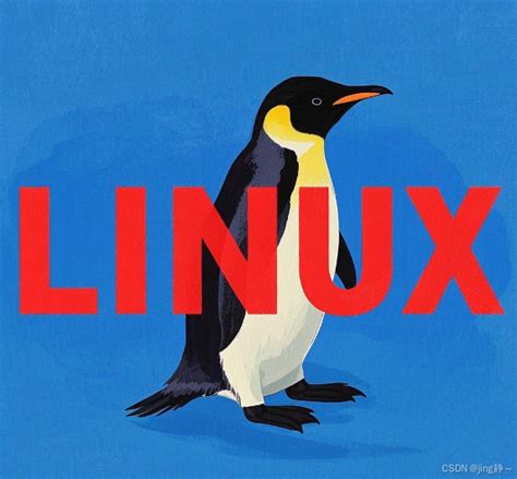 linux 进程execl簇函数 EW帮帮网