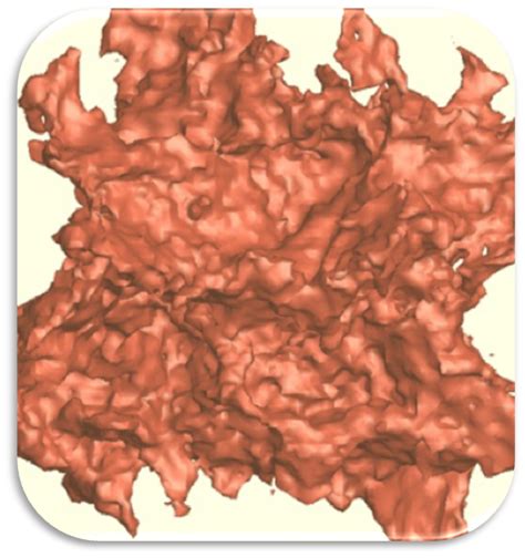 Non Reacting Hit Blastnet