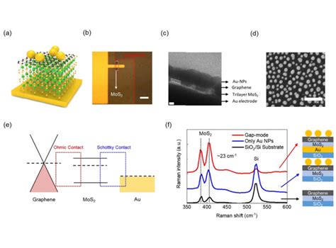 Atomically Thin Schottky Junction With A Gap Mode Plasmon For Enhanced Photoresponsivity In Mos2