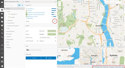 Map View Vector Tile Style Editor