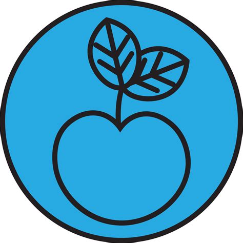 Fresh Fruit Illustration Vector On A White Background 13482607