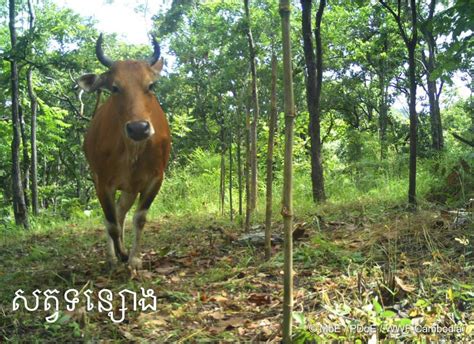 មើលរាងអូនឈរមុខម៉ាស៊ីនថតស្វ័យប្រវត្តិ តើអូនស្រស់យ៉ាងណា សារព័ត៌មាន នគរវត្ត