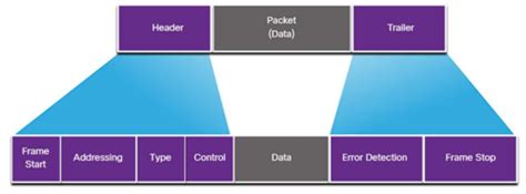 Chapter 4 Data Link Layer Flashcards Quizlet