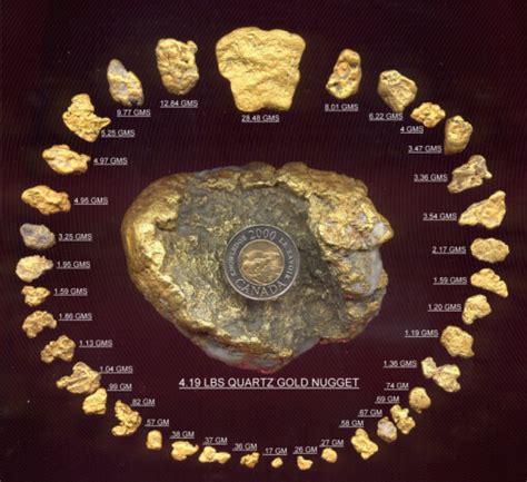 The Amazing Joey Coil Docs Place