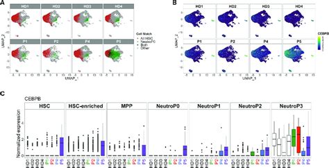 Hscs With An Altered State And Aberrant Cebpb Expression A Umap Plots Download Scientific