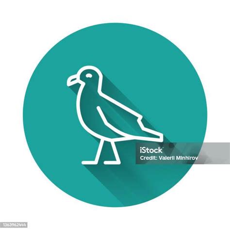 긴 그림자 배경으로 격리 된 화이트 라인 버드 갈매기 아이콘 녹색 원 버튼입니다 벡터 갈매기에 대한 스톡 벡터 아트 및 기타