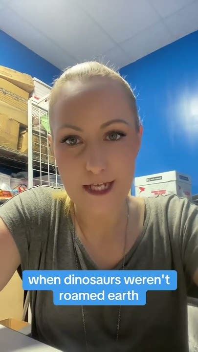 Fun Facts Part 2 Youtube