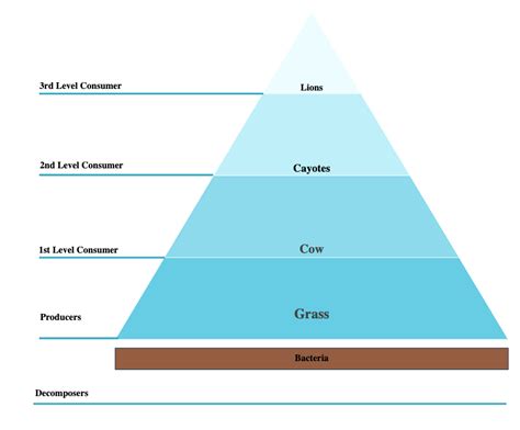 Mean And Mern Stacks Full Stack Javascript Development Explained Artofit