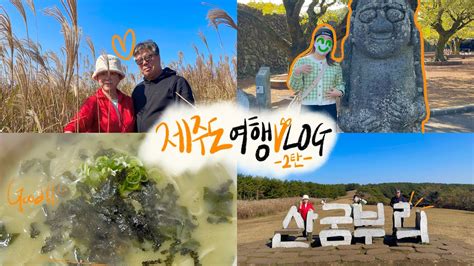 제주도여행 Vlog 11월의 제주도 걸어서 제주도속으로 자연 꽃 그리고 억새1년동안 볼 억새 이 날 다보고 옴 카멜리아 힐 산굼부리