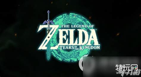 《塞尔达传说王国之泪》洛美岛迷宫怎么通关 南洛美岛迷宫通关攻略 特玩网