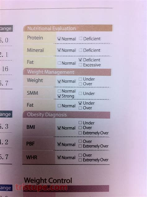 VO2max Test Protocols TRISTUPE COM