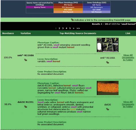 Sample Search Results For Our Retrieval Engine Using The Query ‘small