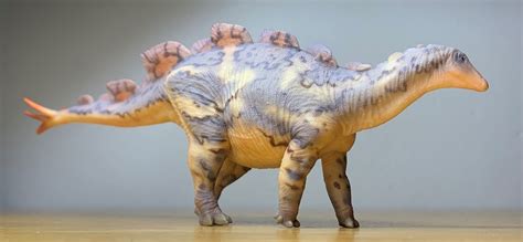 Wuerhosaurus Skeleton