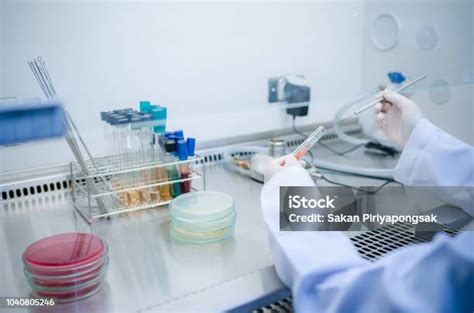 과학자 사용 화학 솔루션 및 장비 실험실 박테리아 또는 바이러스 실험실 증기 두건에 대 한 테스트 연구 및 과학 개념 Stem 주제에 대한 스톡 사진 및 기타 이미지