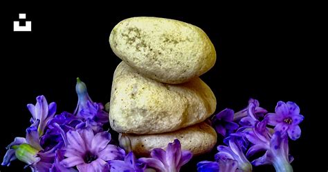 보라색 꽃 옆에 앉아있는 돌무더기 사진 Unsplash의 무료 독일 이미지