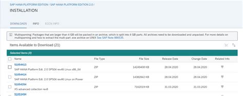 SAP HANA Upgrade BASIS GURU