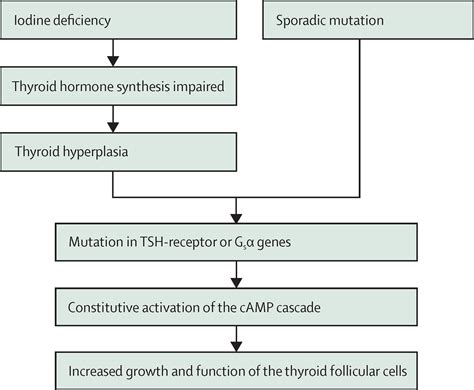 Hyperthyroidism The Lancet