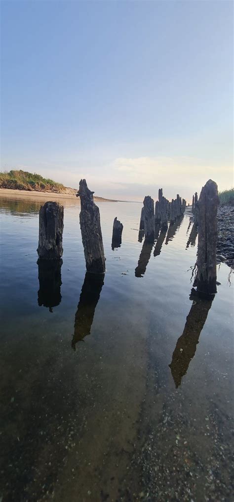 Toth Attila On Linkedin Our Planet