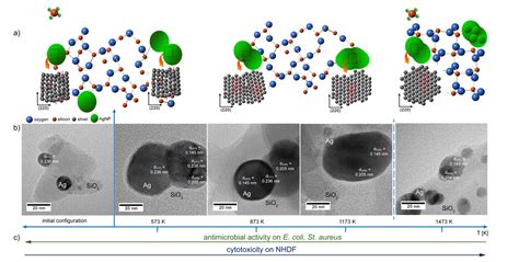 Impact Of Temperature On Physicochemical And Biological Properties Of Silver Silica