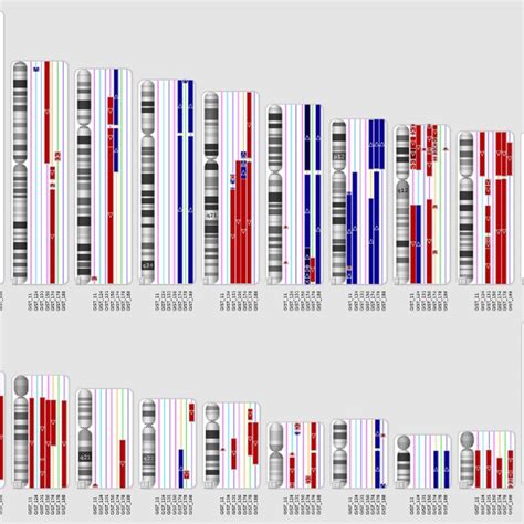 Cnv Analysis On Metastatic Kit Mutated Gist Genomic Region Losses Download Scientific Diagram