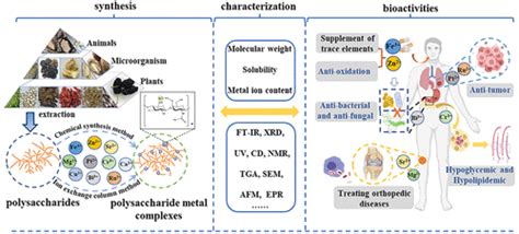 Synthesis Characterization And Bioactivities Of Polysaccharide Metal Complexes A Review